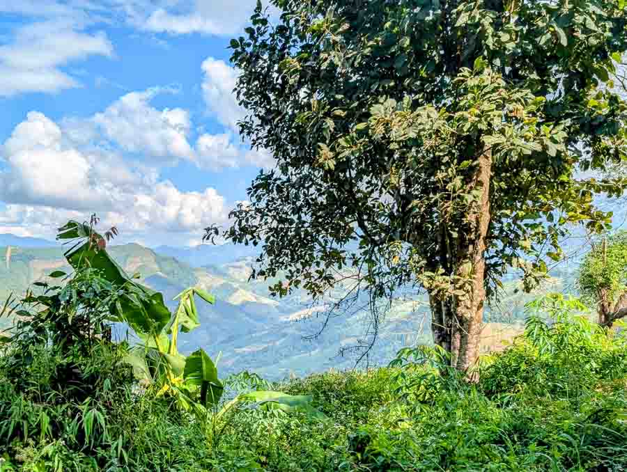 Northern Thailand Magical Mystery Tour 3 – Choi Phu Kha – Ellen and ...